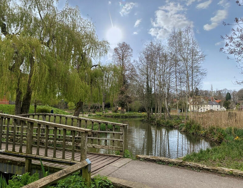 South Pond Group – Bringing Life Back to South Pond and Jubilee Path